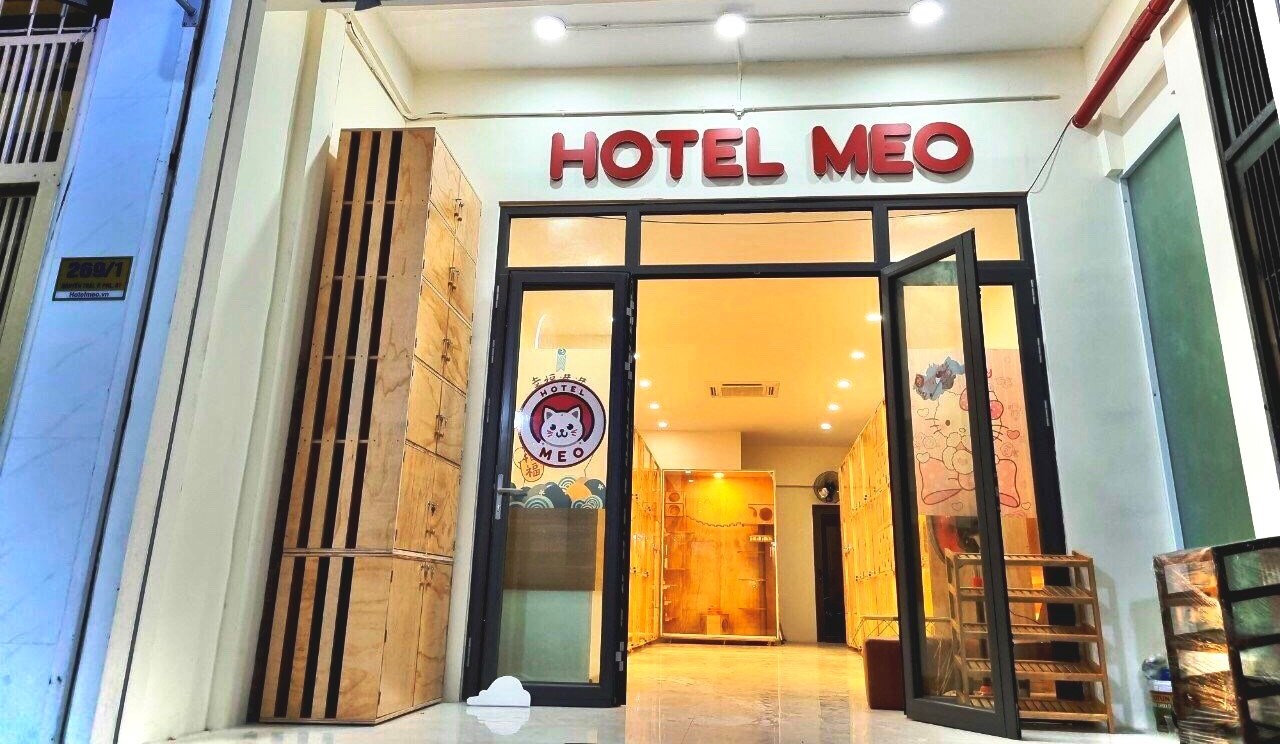 Trang chủ - Hotel Meo